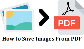 How to Save Images From PDF- A Complete Guide